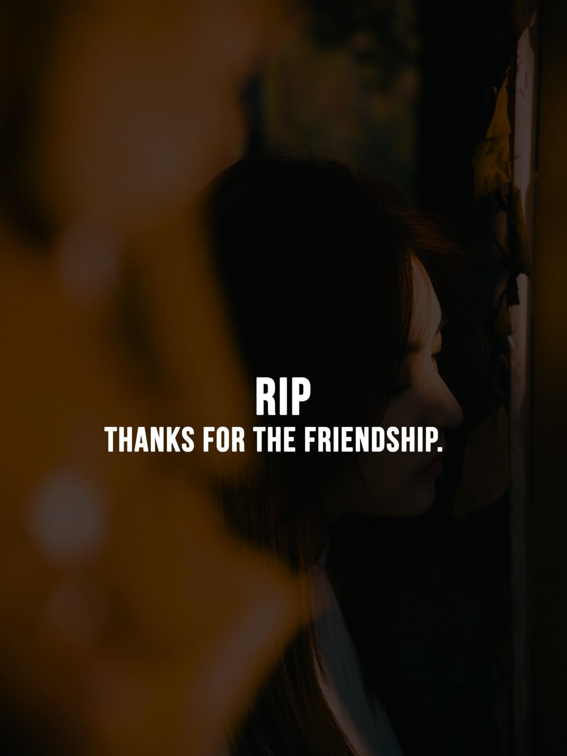200 Heartfelt RIP Quotes For Friend - Touching Tribute Words