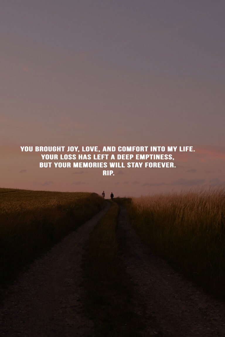 200 Heartfelt RIP Quotes For Friend - Touching Tribute Words
